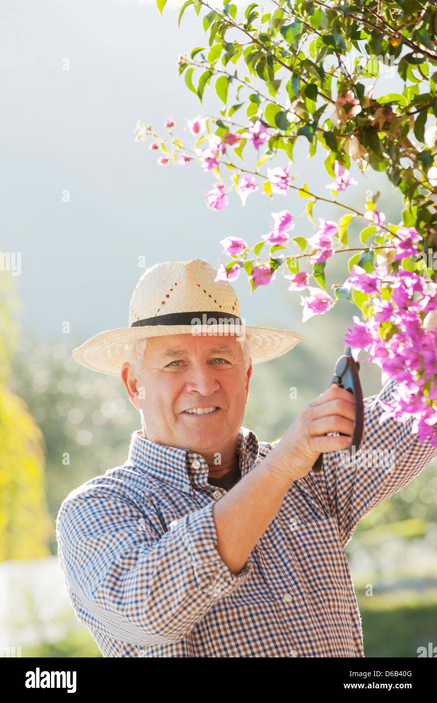 Older man gardening outdoors Stock Photo - Alamy
