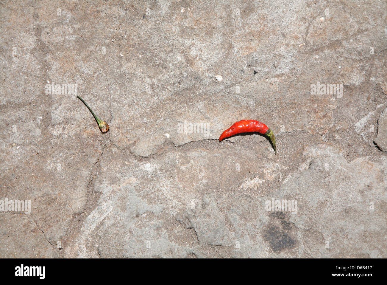 Vietnam chillies hi-res stock photography and images - Alamy
