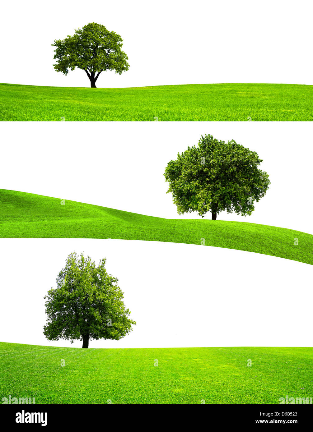 Green tree nature Stock Photo - Alamy