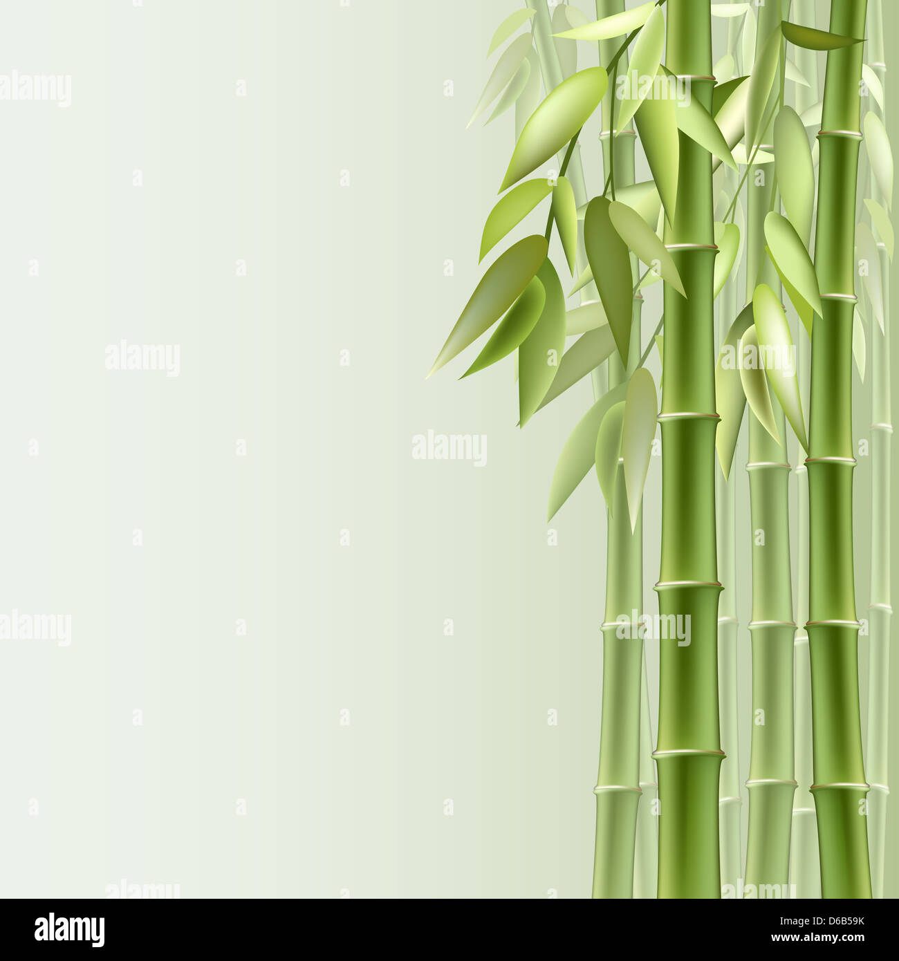 Asian nature bamboo branch hi-res stock photography and images - Alamy