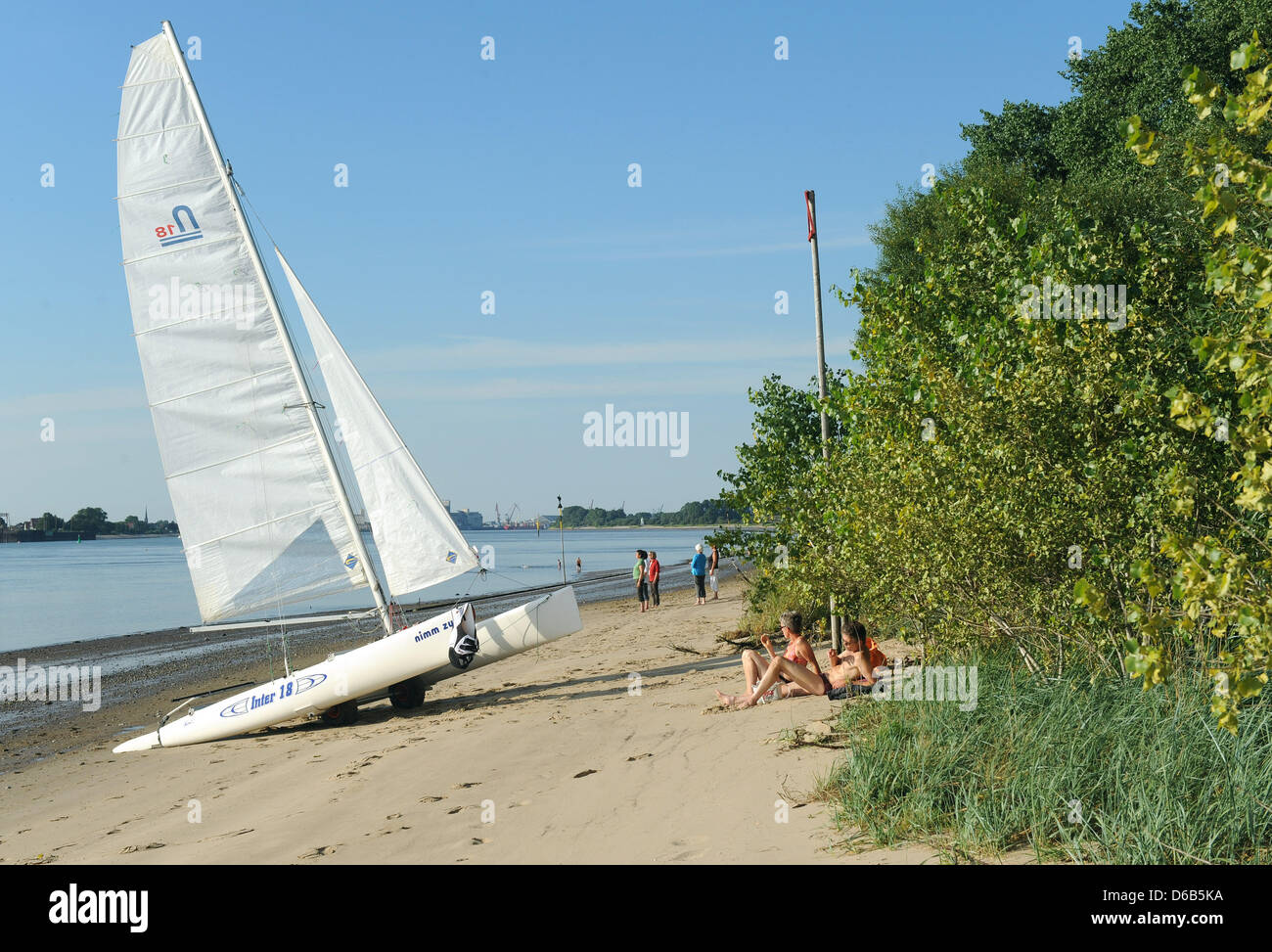 Harrier sand hi-res stock photography and images - Alamy