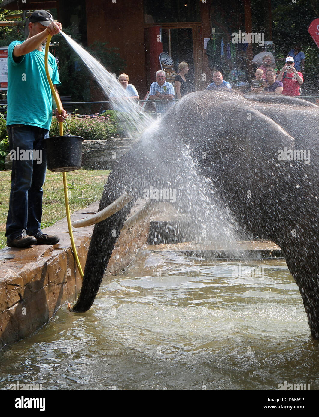 African elephant Sara takes a shower at the Zoo in Hanover, Germany, 20 ...