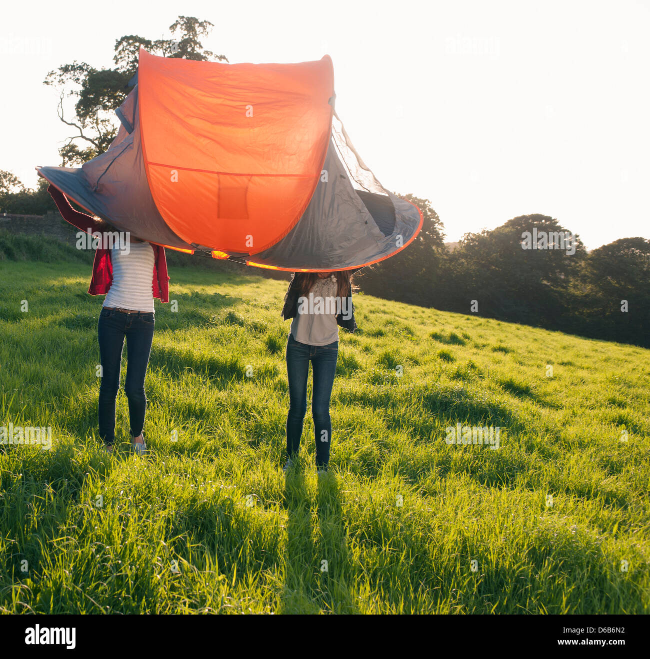 Teenage girls pitching tent in field Stock Photo - Alamy