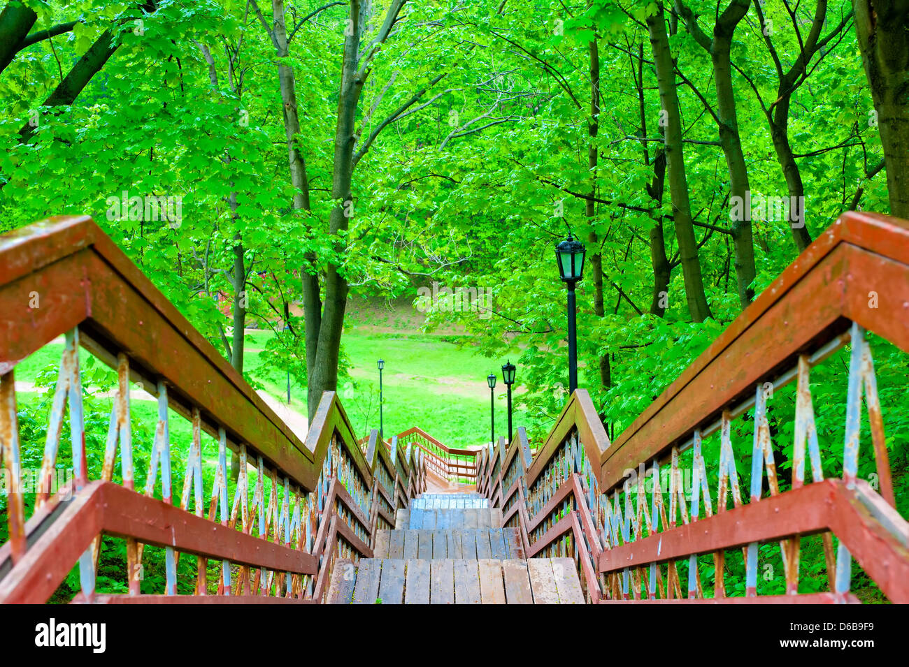 Wooden staircase in the protected forest Stock Photo - Alamy