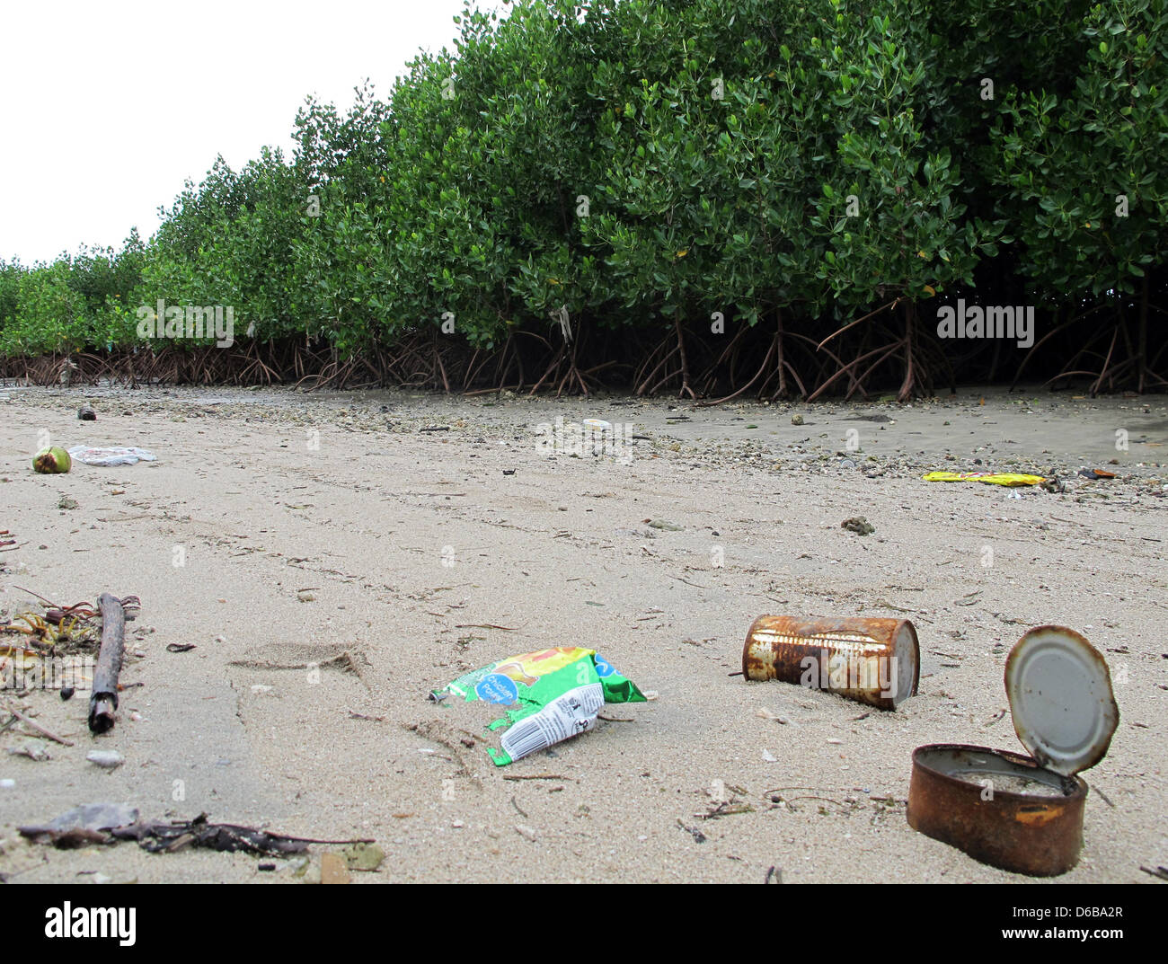 Newly planted mangroves are pictured near Sigatoka on the island Levu ...