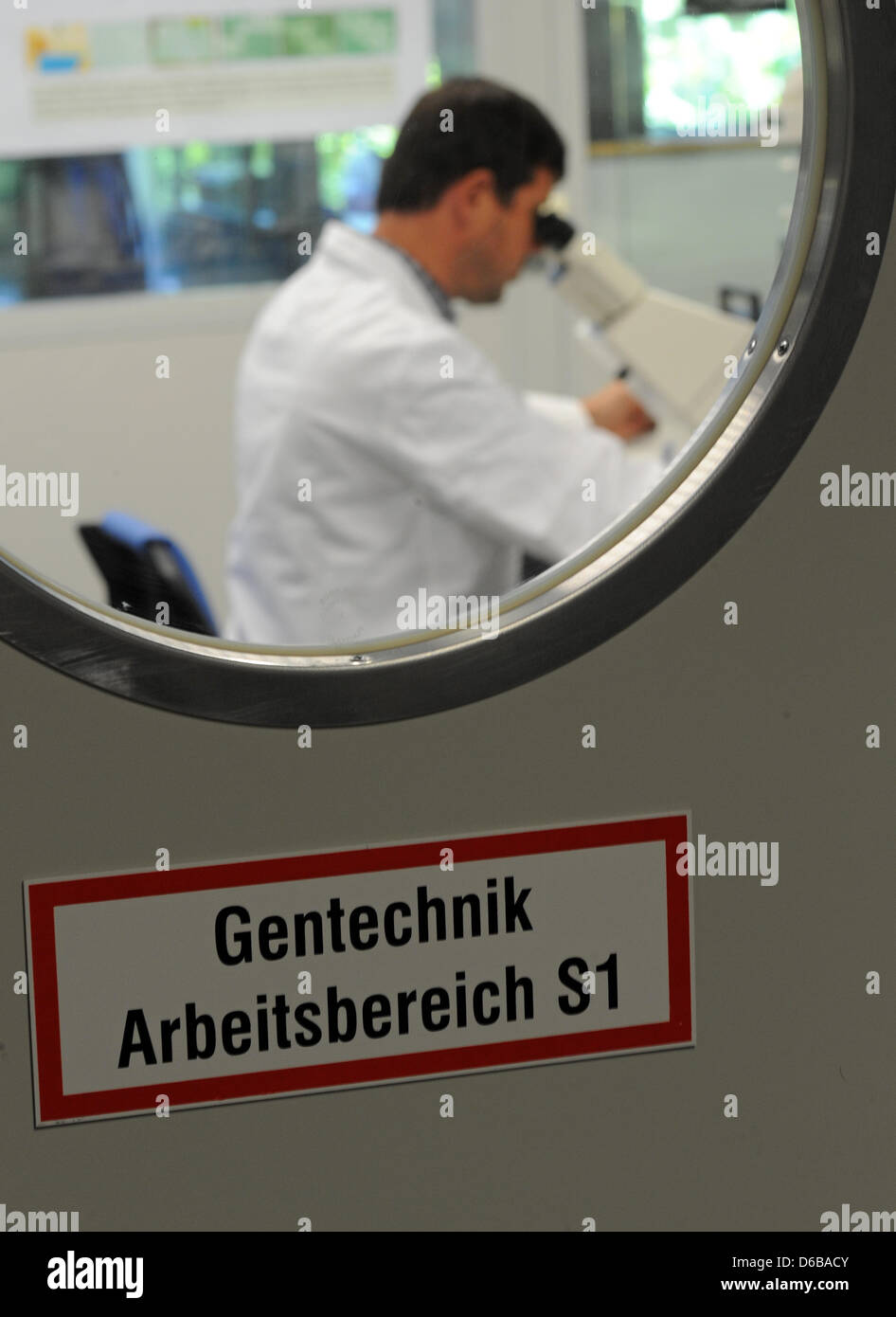 Biologist Ronald Naumann works at a research model for bio-medical ...