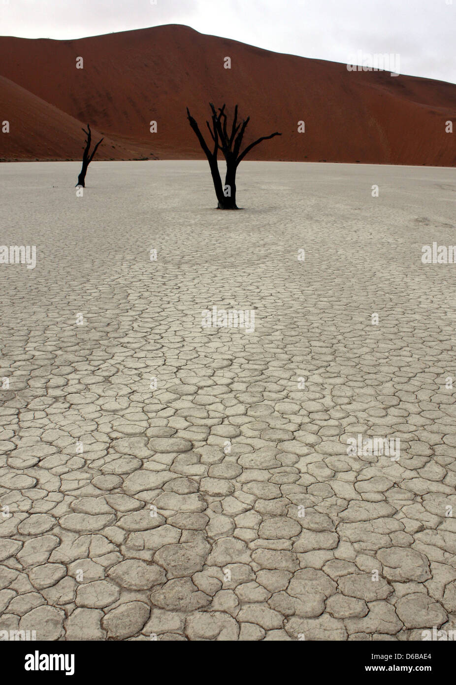Dead trees in Deadvlei Stock Photo - Alamy
