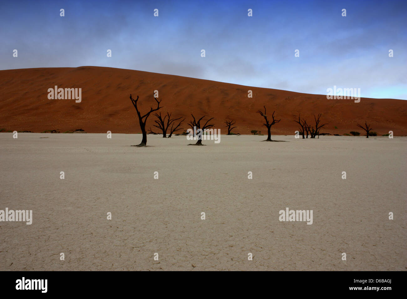 Dead trees in Deadvlei Stock Photo - Alamy