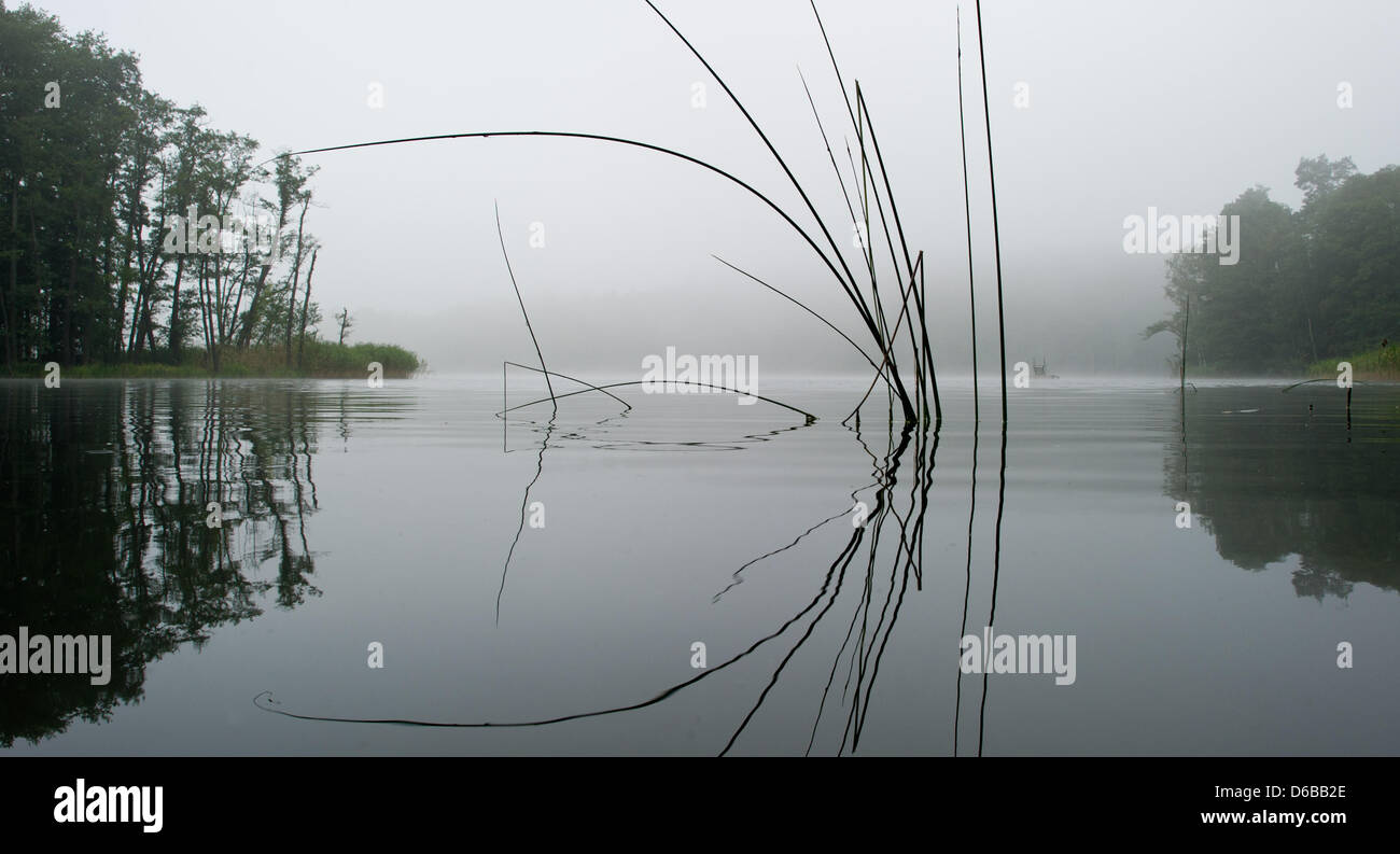 Treplin hi-res stock photography and images - Alamy