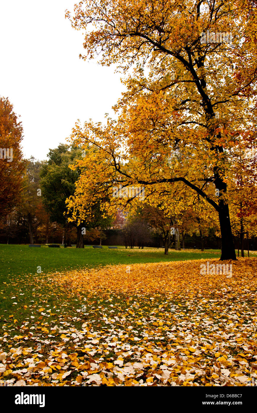 Autumn in Italy Stock Photo - Alamy
