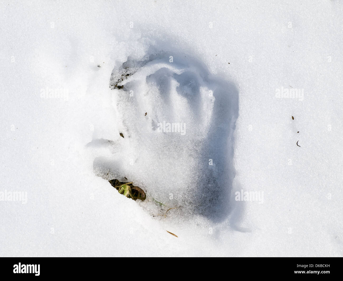 Human hand imprints hi-res stock photography and images - Alamy
