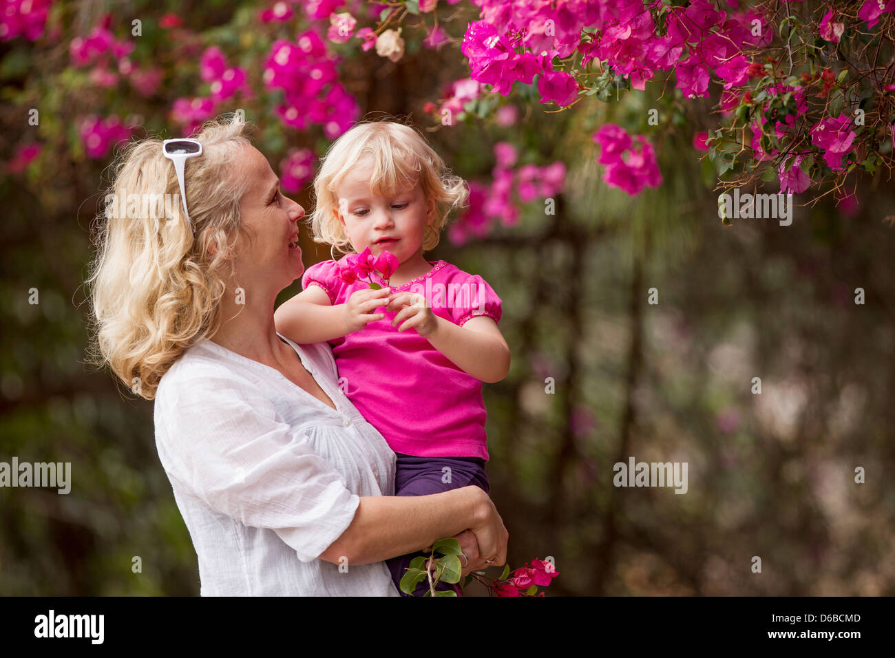 Mother and daughter picking flowers Stock Photo - Alamy
