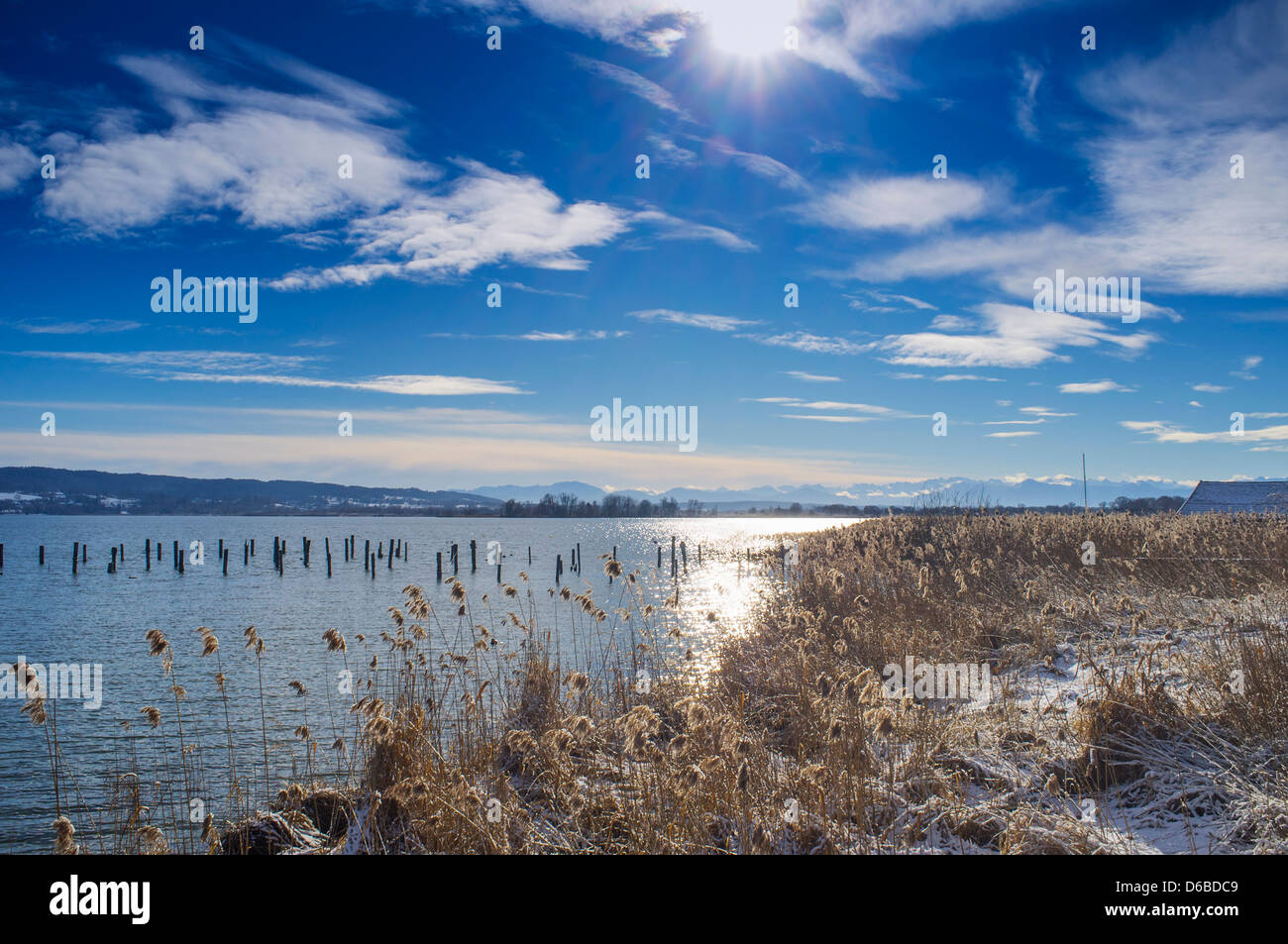 Grass reeds river winter hi-res stock photography and images - Alamy