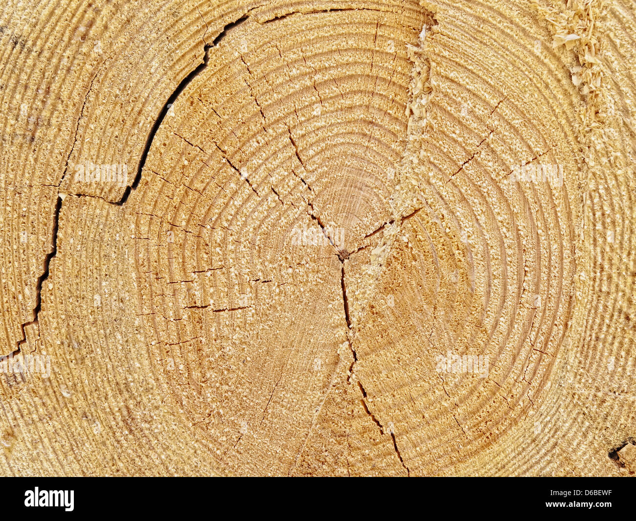Log framework hi-res stock photography and images - Alamy