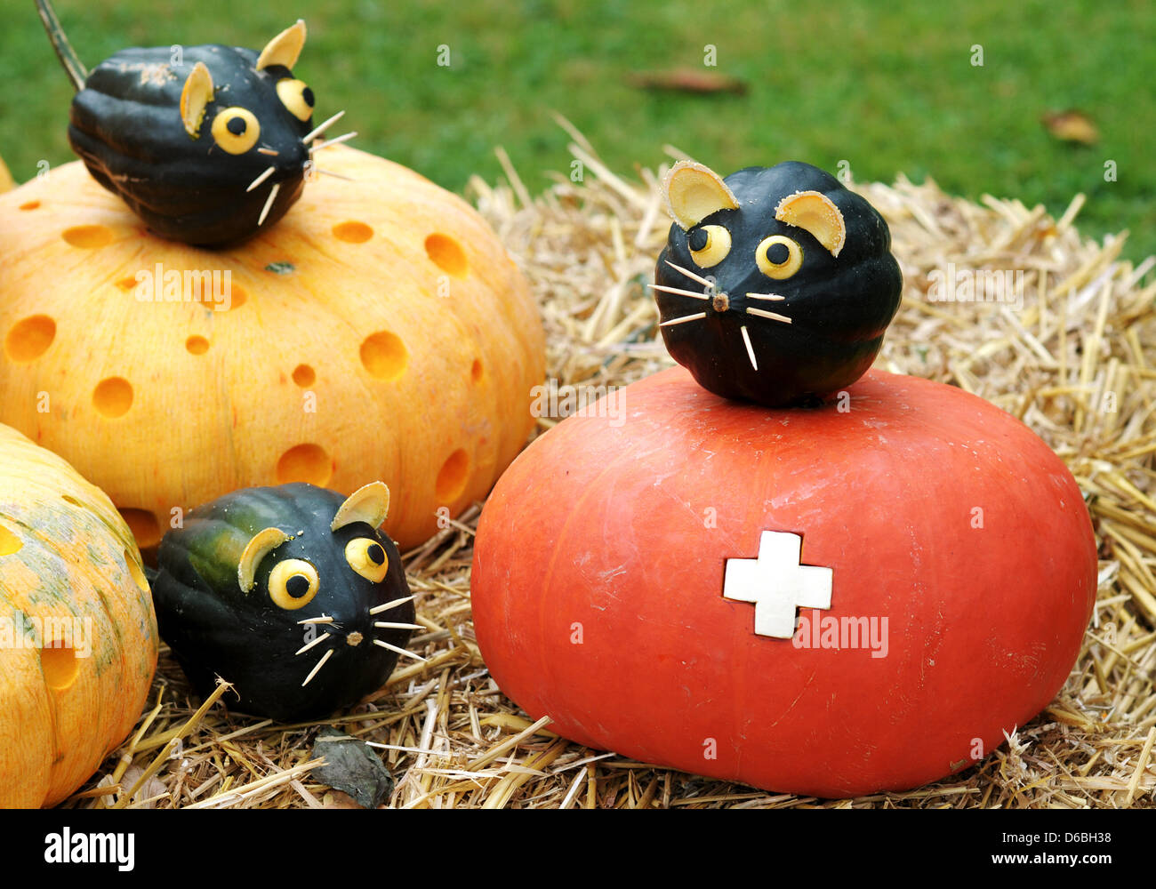 Pumpkins sit in the pumpkin exhibition in the "Flowering Baroque" in ...
