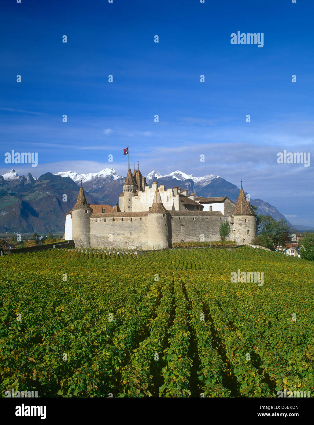 Chateau d'Aigle, Vaud canton, Switzerland Stock Photo - Alamy