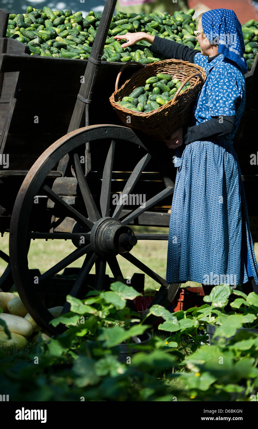 Dorothee Gerike wears traditional dress and stands in front of a cart ...