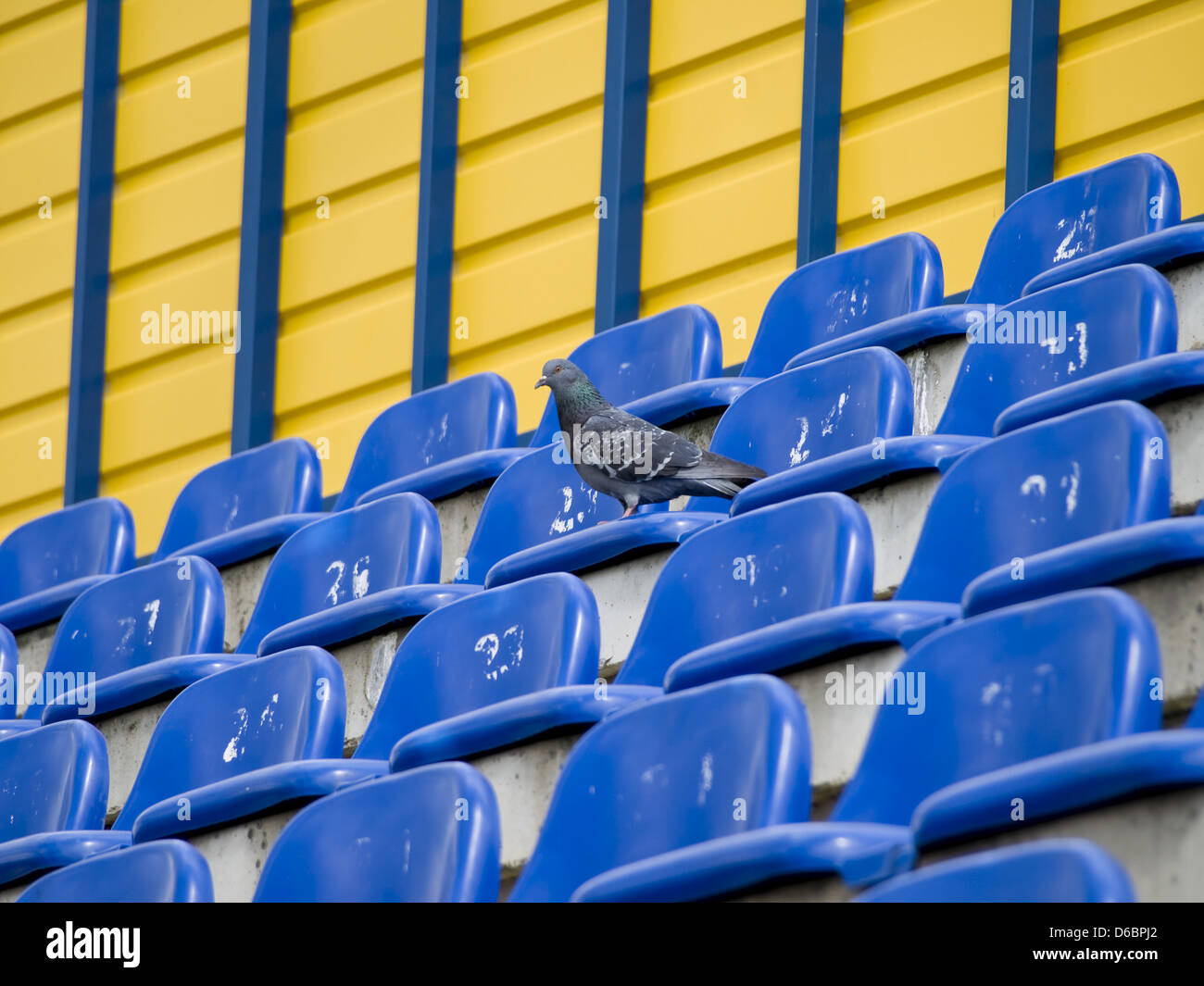 Bird seats hi-res stock photography and images - Alamy