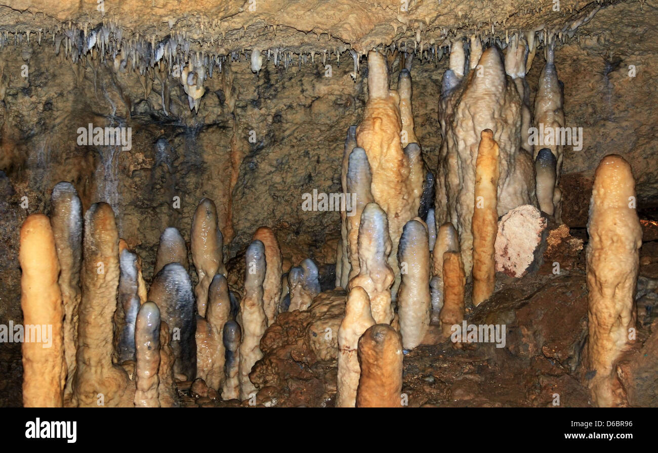 Amazing the Harrison's Caves in Barbados Stock Photo - Alamy