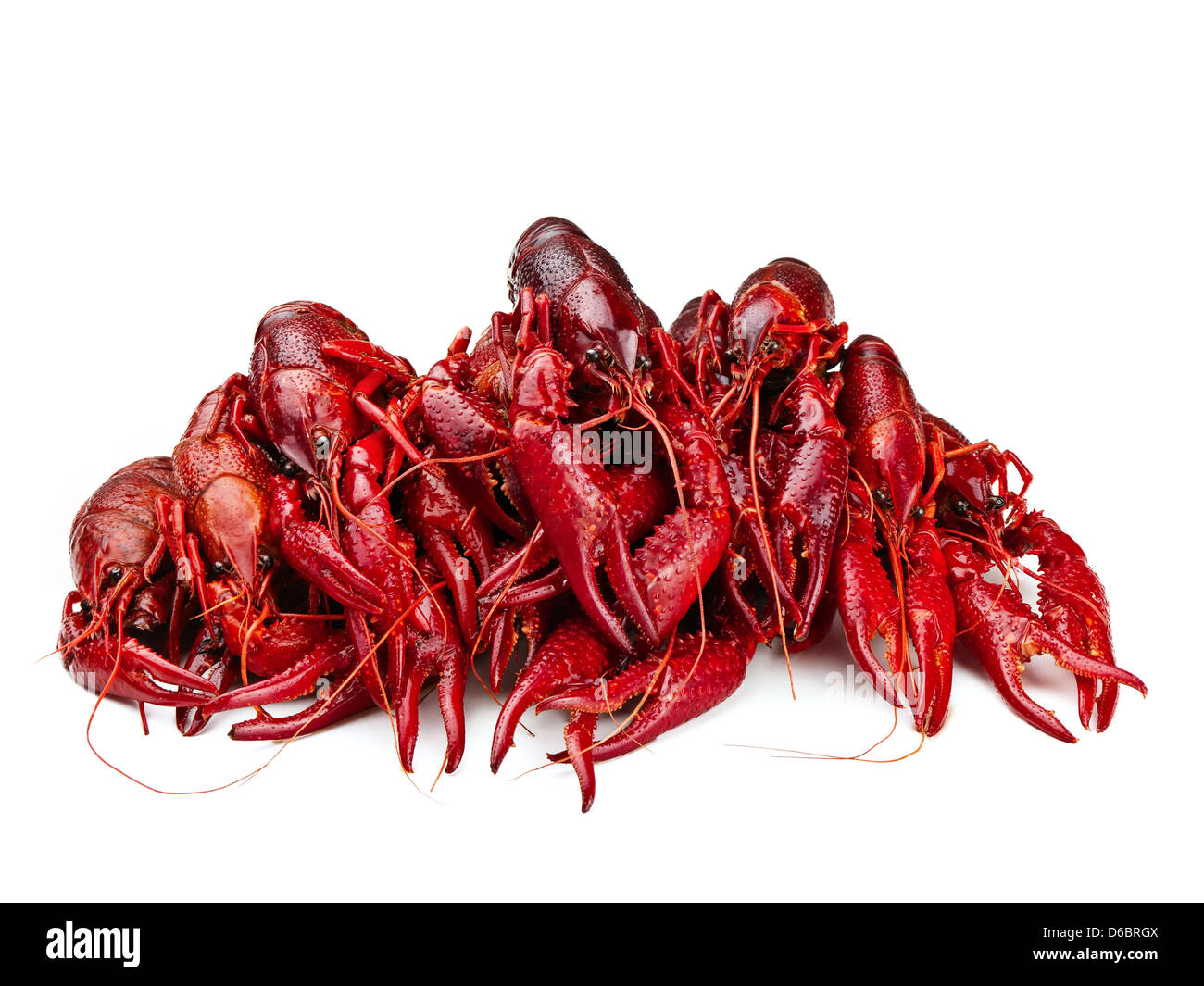 Fish with pincers Cut Out Stock Images & Pictures - Alamy