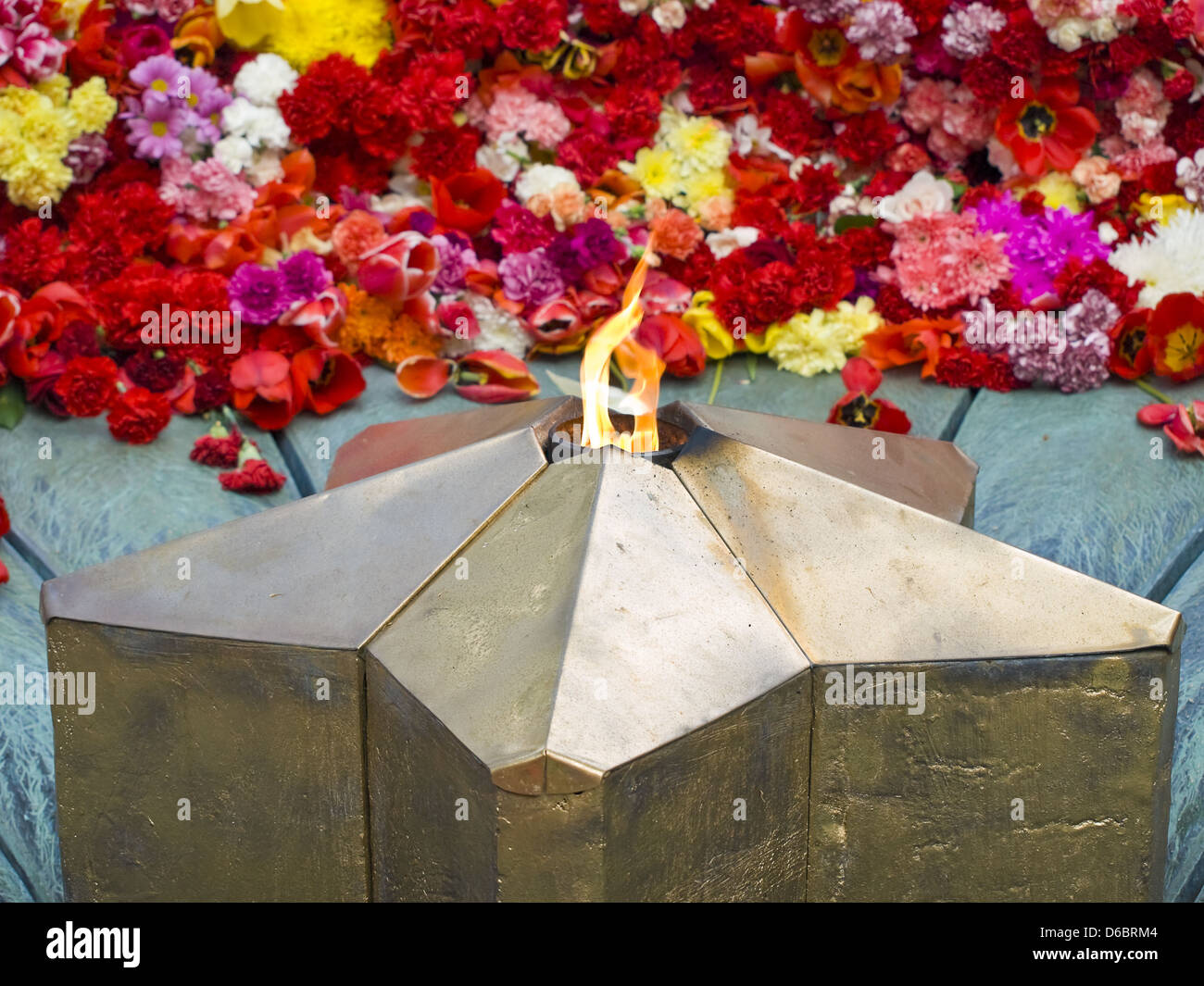 Eternal flower shape hi-res stock photography and images - Alamy