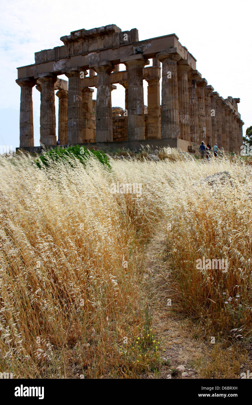Temple of Magna Grecia Stock Photo - Alamy