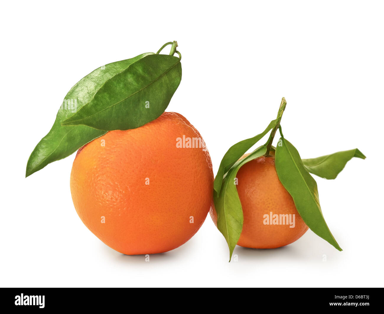 mandarin and orange Stock Photo - Alamy