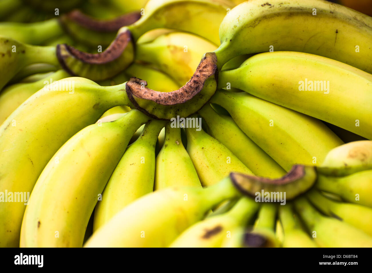 Bananas sold at a fruit stall Stock Photo - Alamy