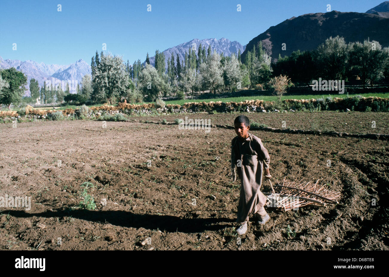 Muslim boy working in a field ( Pakistan Stock Photo - Alamy