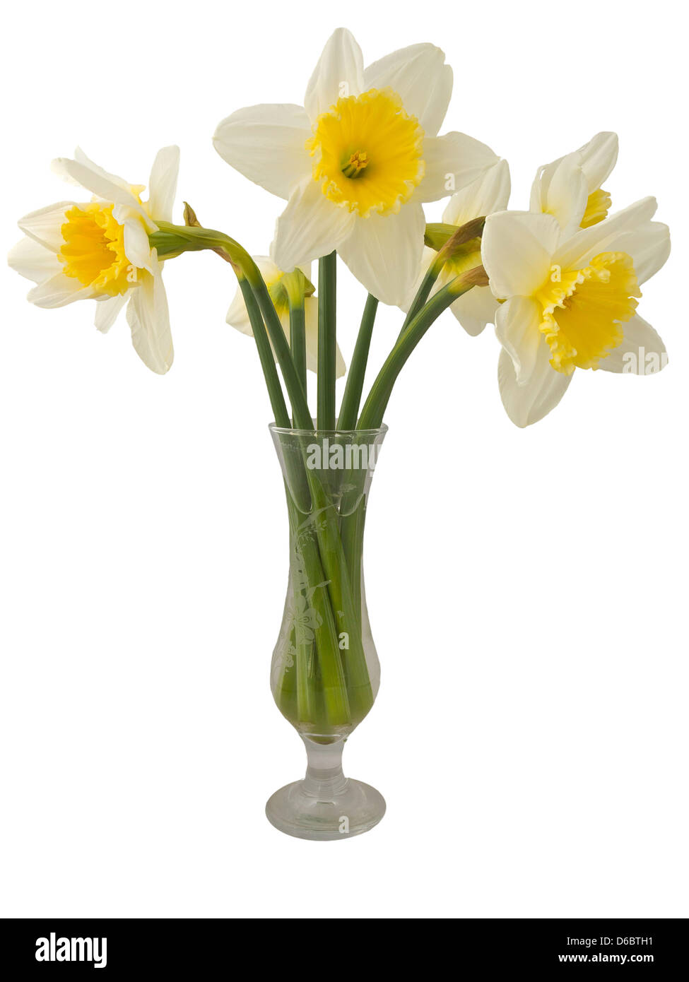 Full spring Cut Out Stock Images & Pictures - Alamy