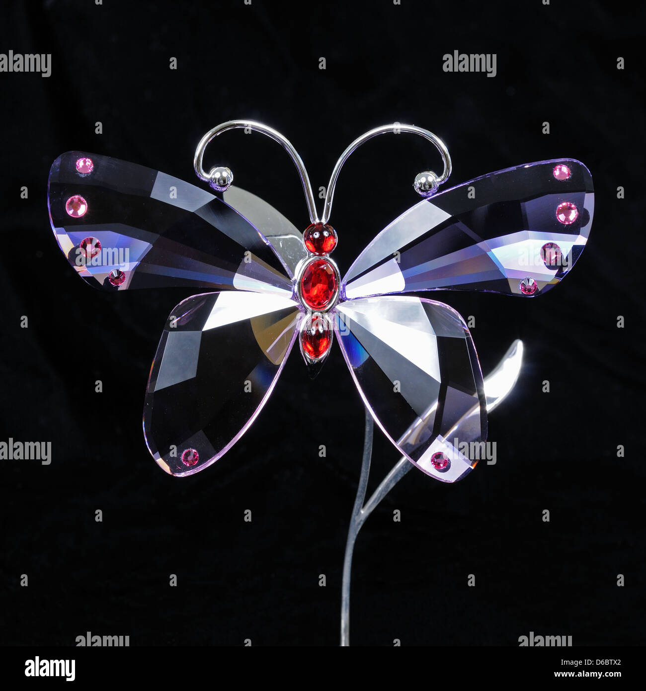 Crystal wings hi-res stock photography and images - Alamy