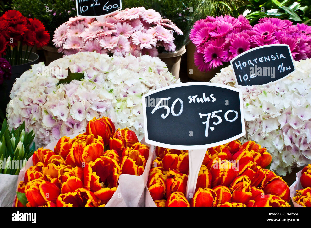 Amsterdam flowers market Stock Photo - Alamy