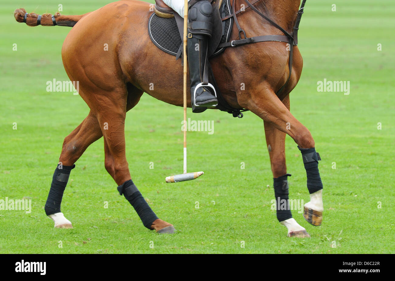 A polo player plays the ball with his mallet during the German Polo ...