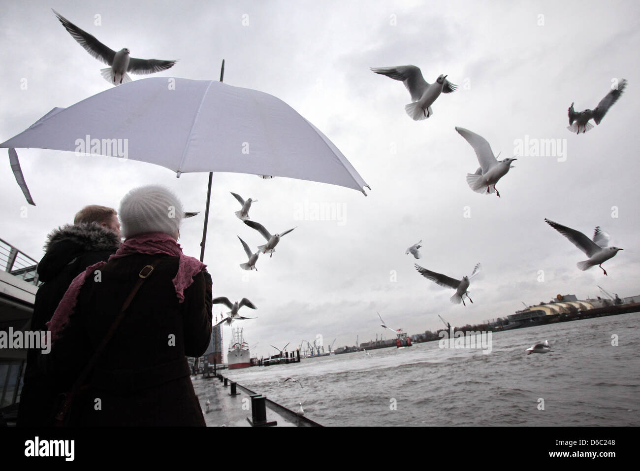 People watch sea gulls during wet-cold weather at the landing stage in ...