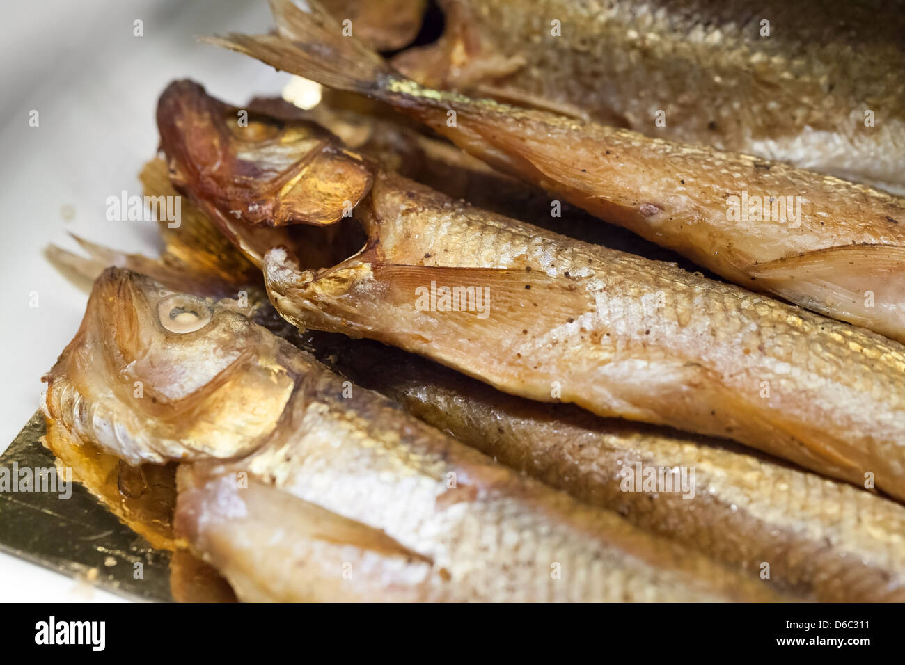 Fishery macro hi-res stock photography and images - Alamy