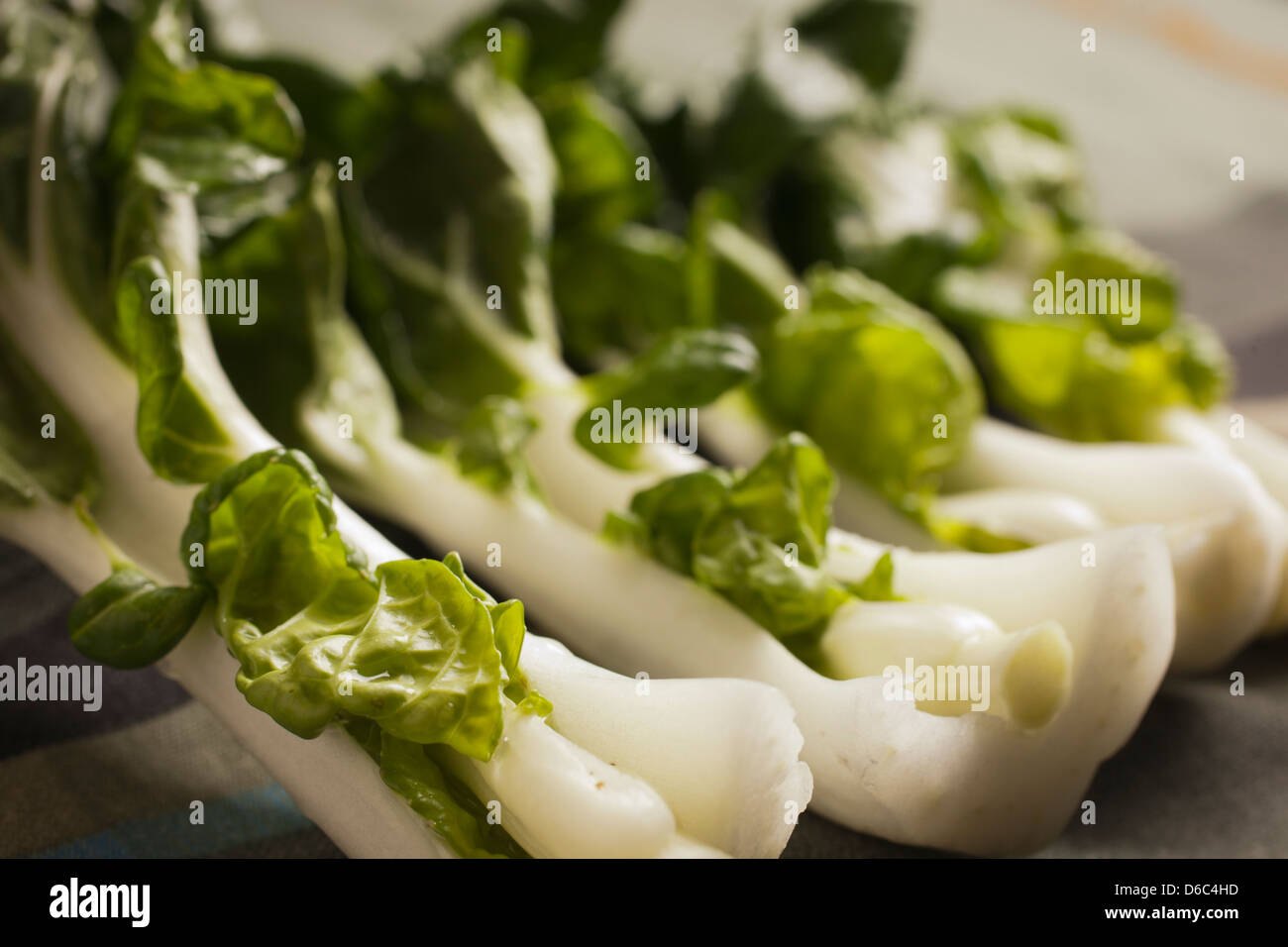 Bok choy chinese cuisine hi-res stock photography and images - Alamy