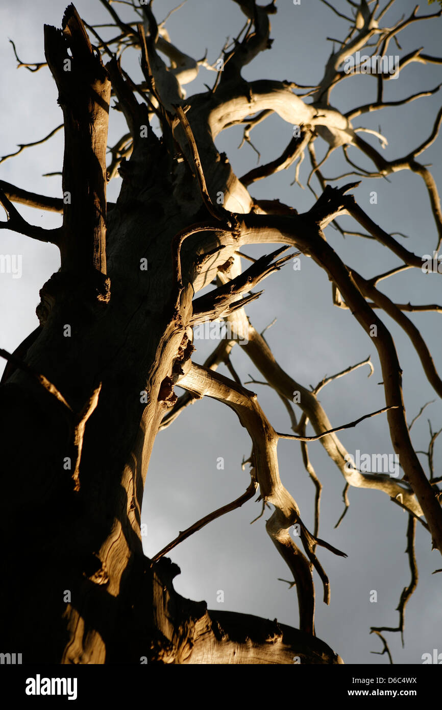 Dramatic Lighting Stock Photos & Dramatic Lighting Stock Images - Alamy