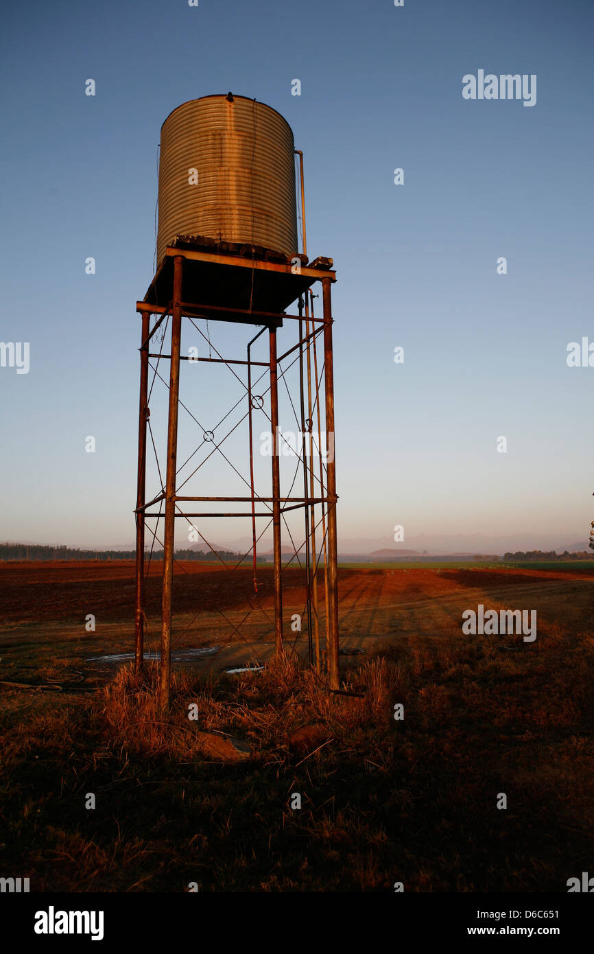 Metal drum type water storage caught in warm early morning sunlight ...