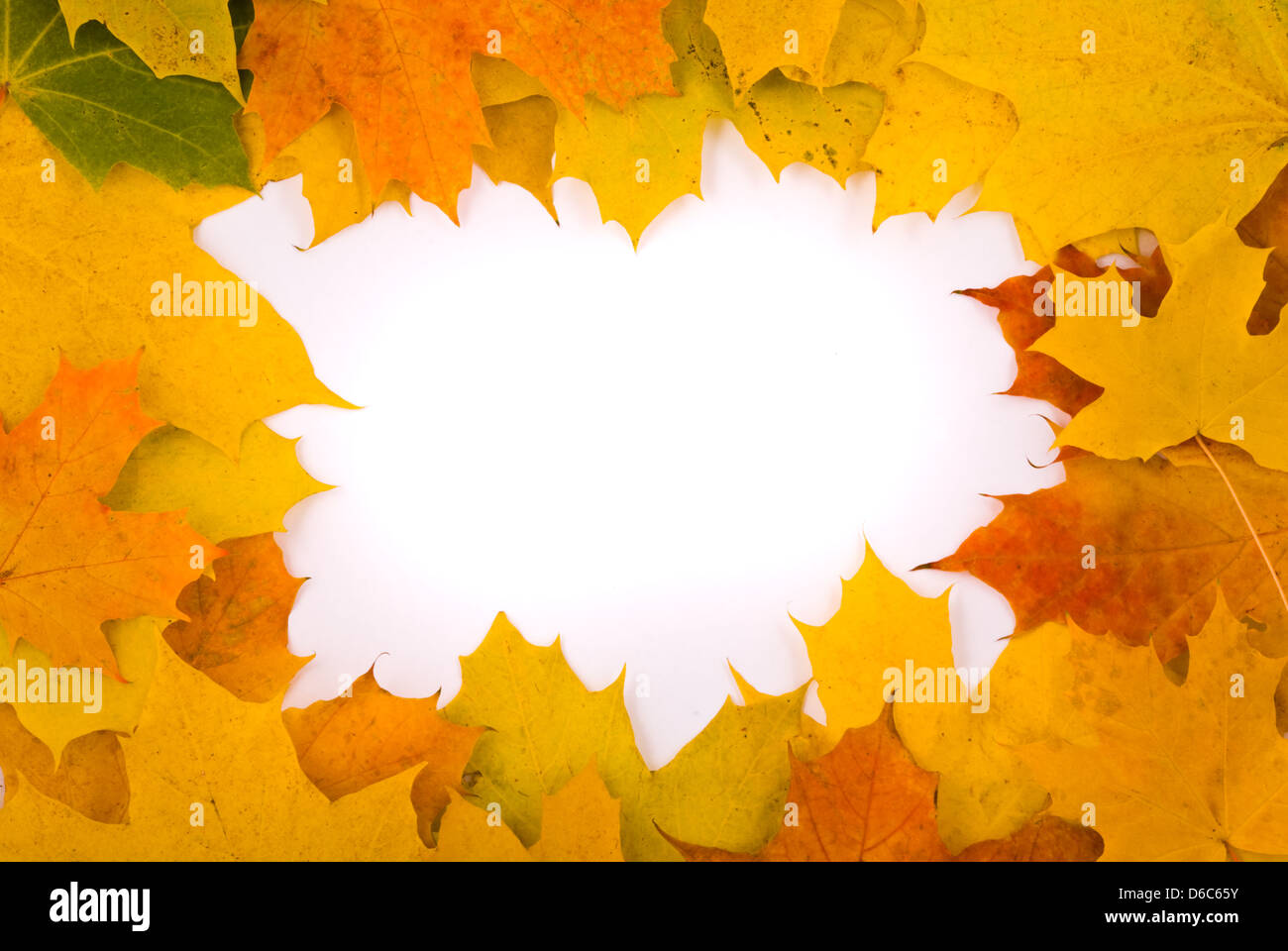 Autumn frame leaves falling hi-res stock photography and images - Alamy
