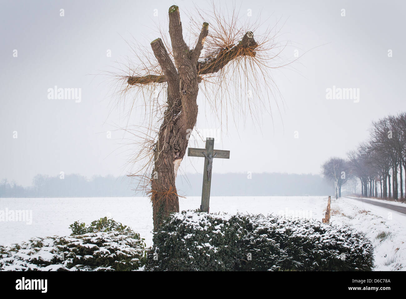 Landscape with snow a tree and a crucifix in winter Stock Photo - Alamy
