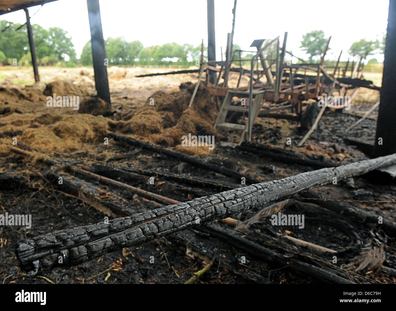 Straw is charred and soaked of water after a straw bale stock caught ...