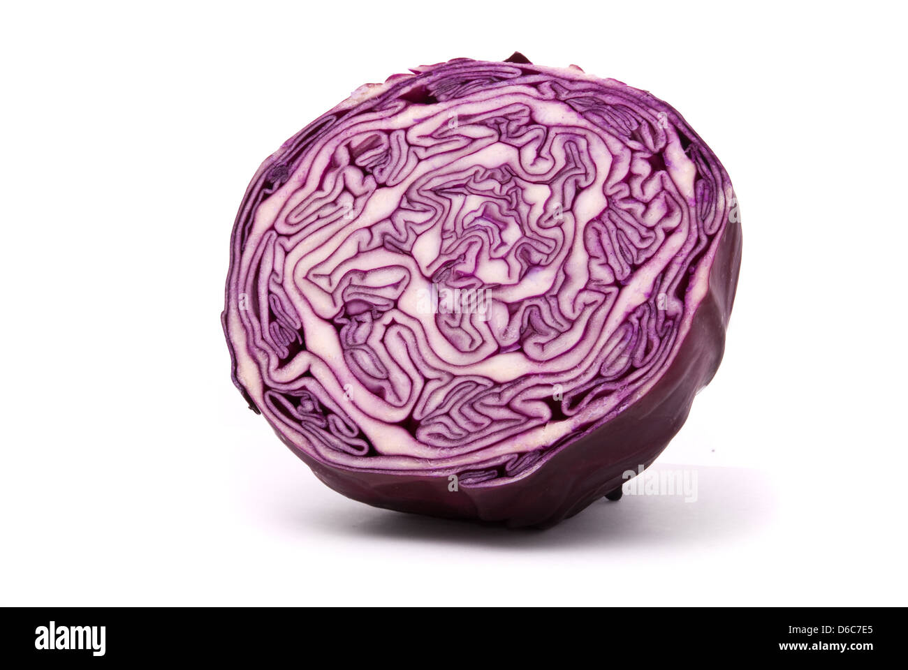 Half fresh cabbage on Cut Out Stock Images & Pictures - Alamy