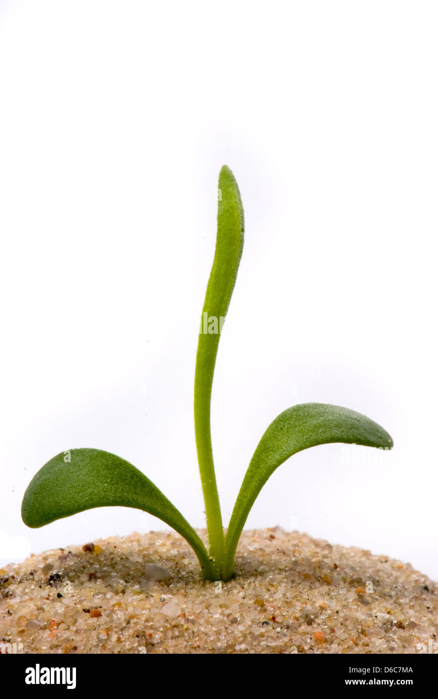 Design in sand hi-res stock photography and images - Alamy