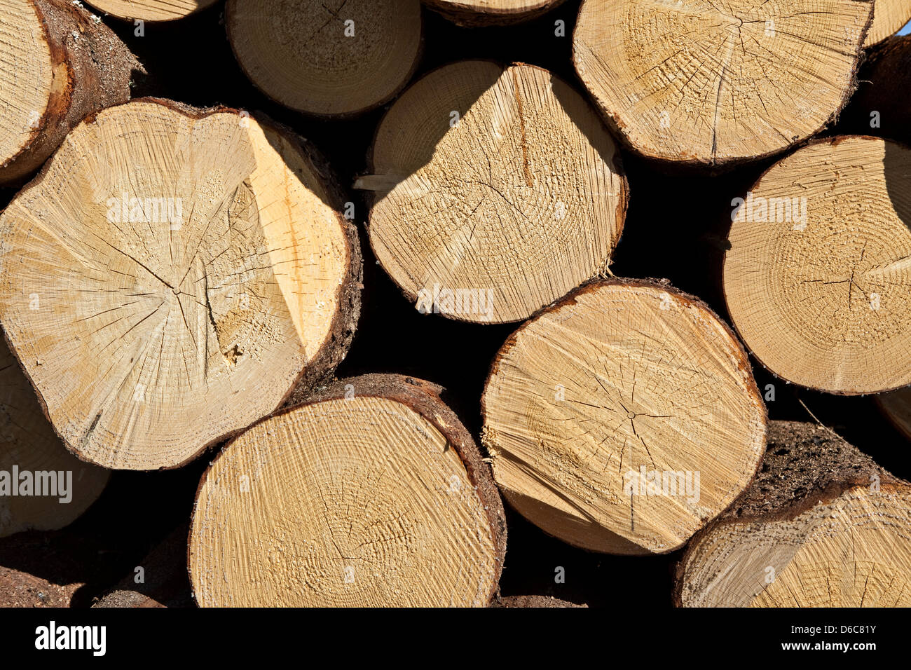 Stack of logs Stock Photo - Alamy