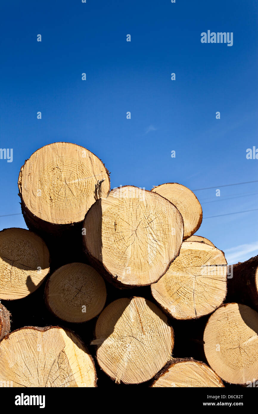 Stack of logs Stock Photo - Alamy