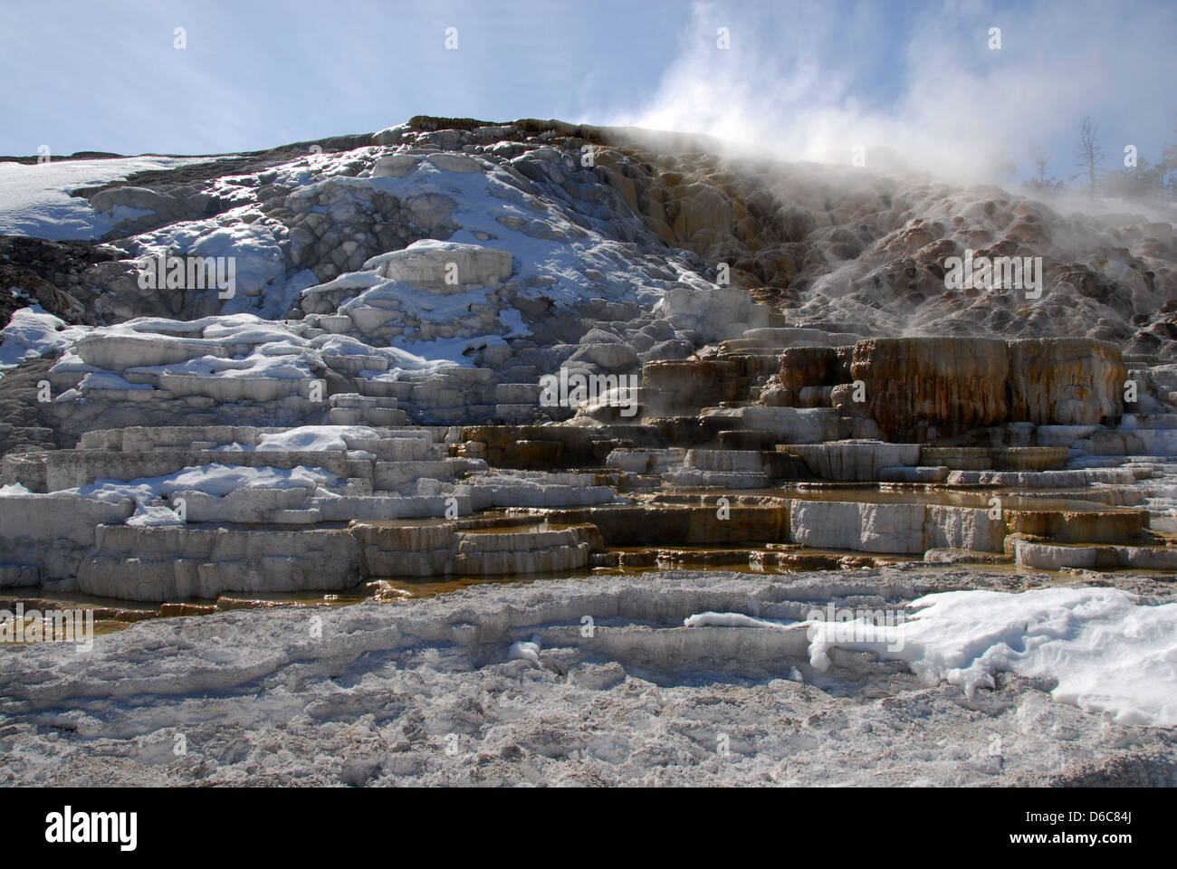 Mammoth Hot Springs terraces, Yellowstone NP. Montana Stock Photo - Alamy