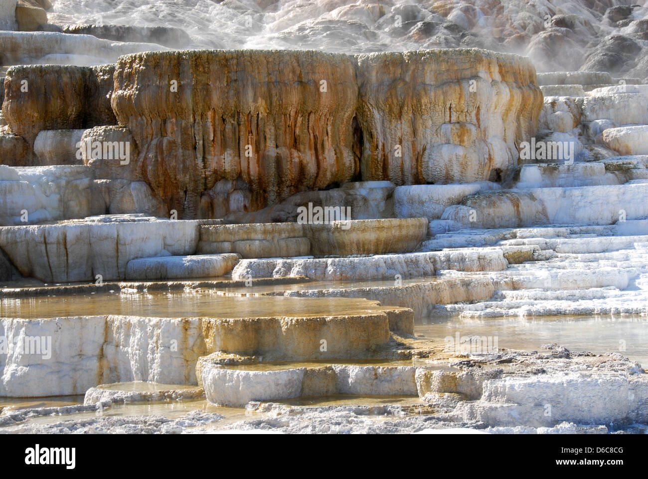 Mammoth Hot Springs, Yellowstone NP. Montana Stock Photo - Alamy