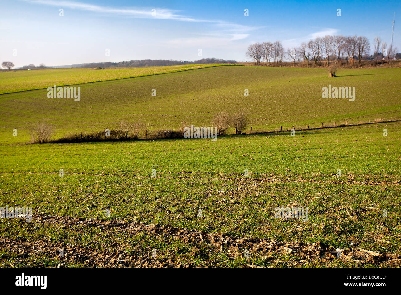Dutch fields hi-res stock photography and images - Alamy