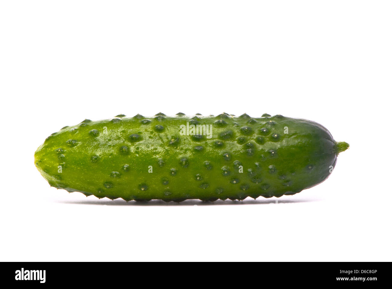 Cucumber on plant hi-res stock photography and images - Alamy