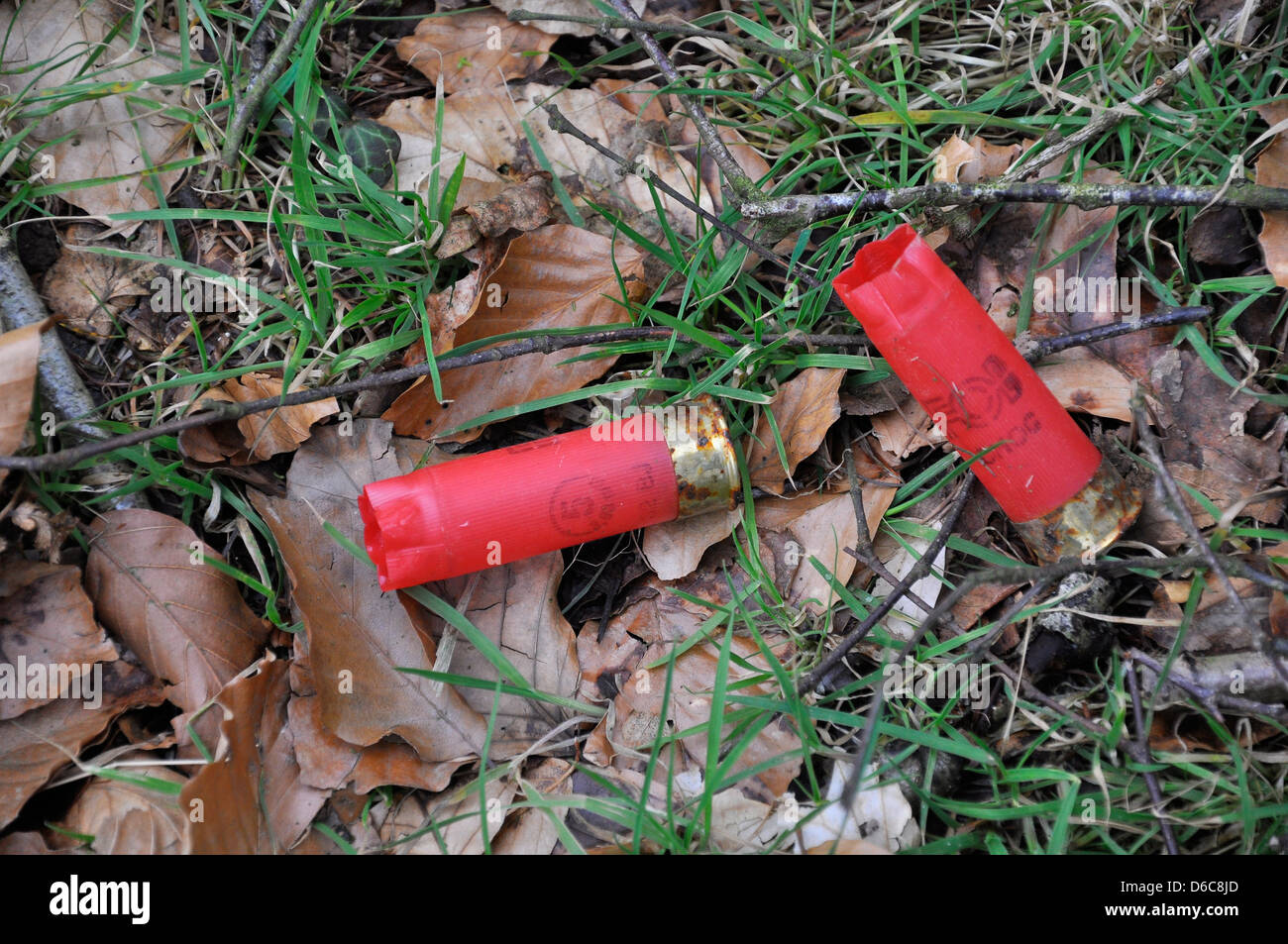 Spent Shotgun Shells